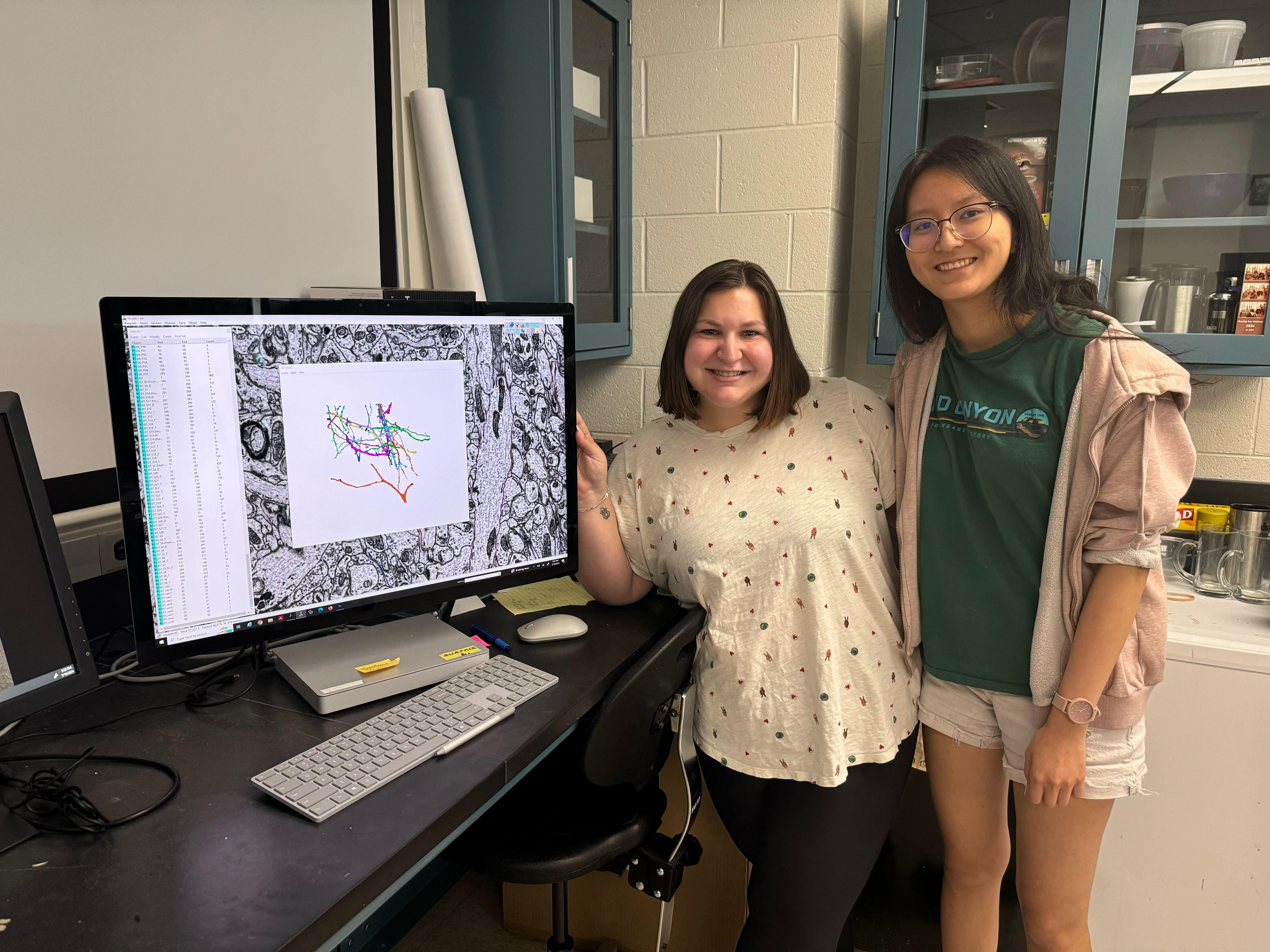 Synaptic Circuitry in Sensory Pathways