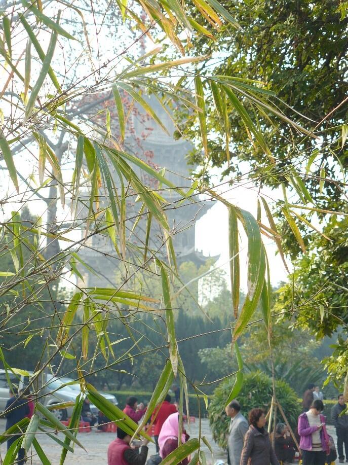 Bio | Frederick Damon