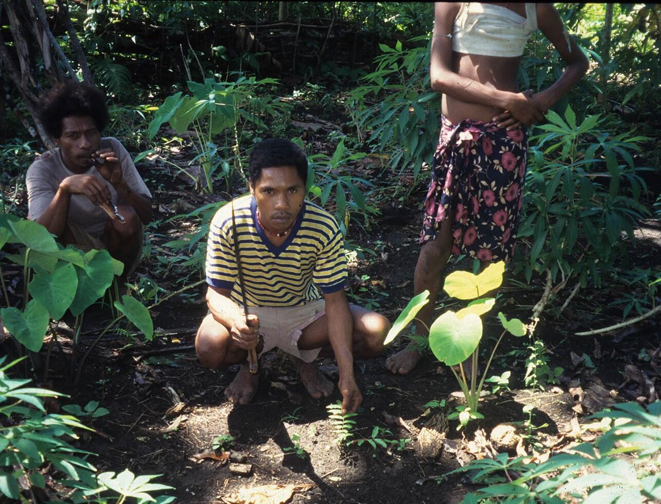 Bio | Frederick Damon