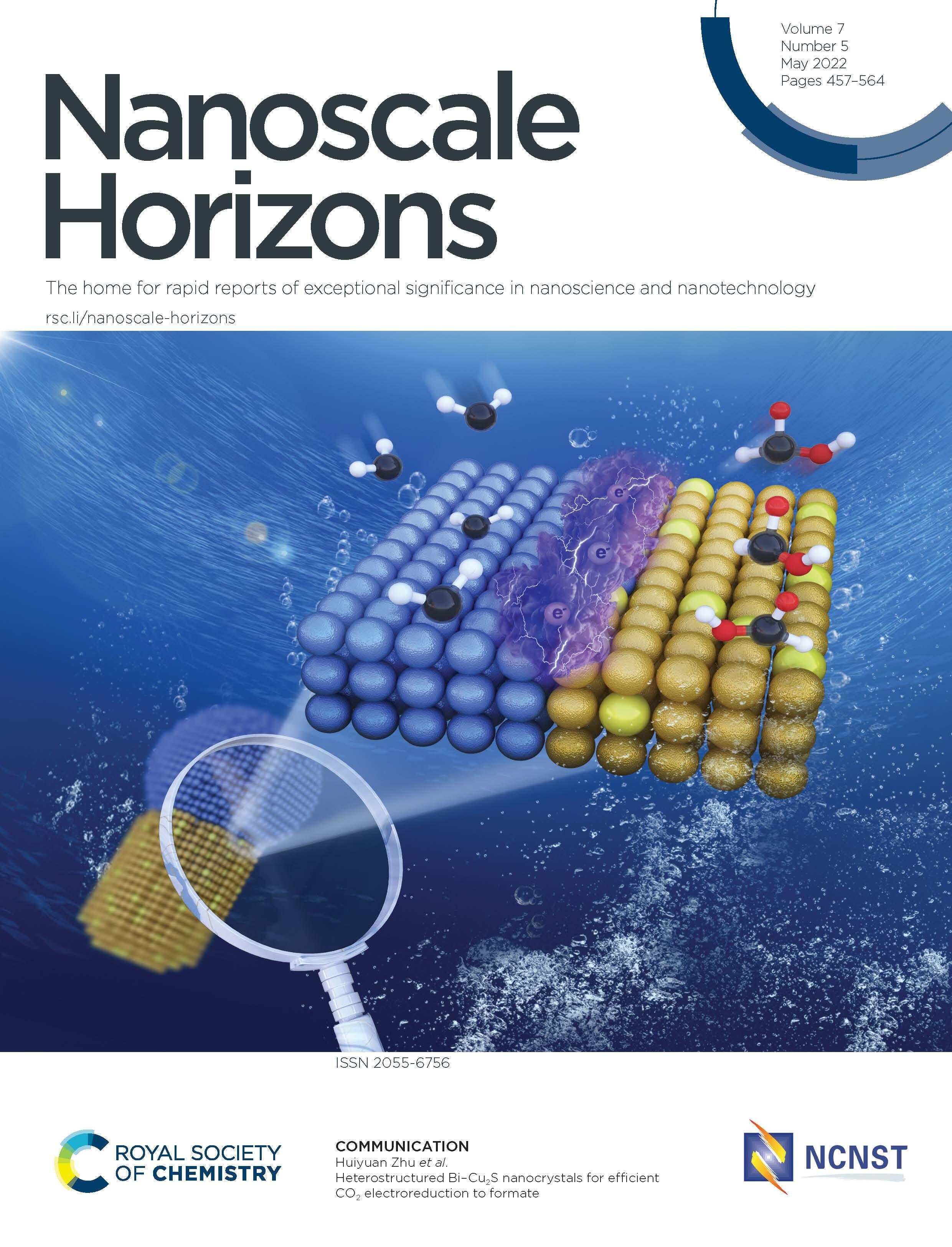 Publications | Nano Energy and Environmental Catalysis Lab