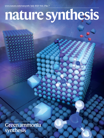 Publications | Nano Energy and Environmental Catalysis Lab