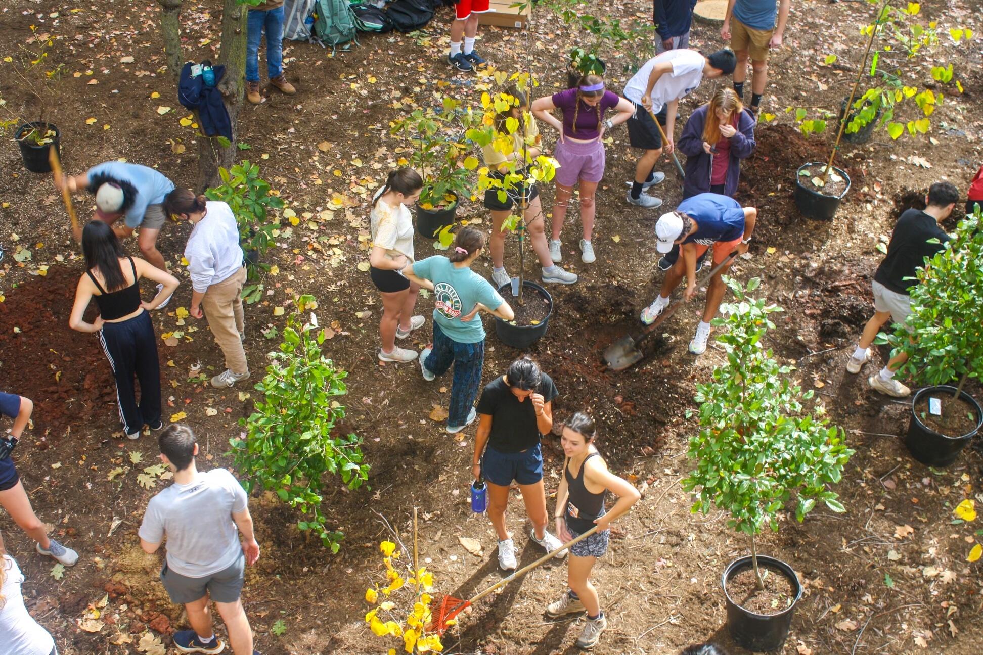 Forest Patches Project | Nitrogen Working Group